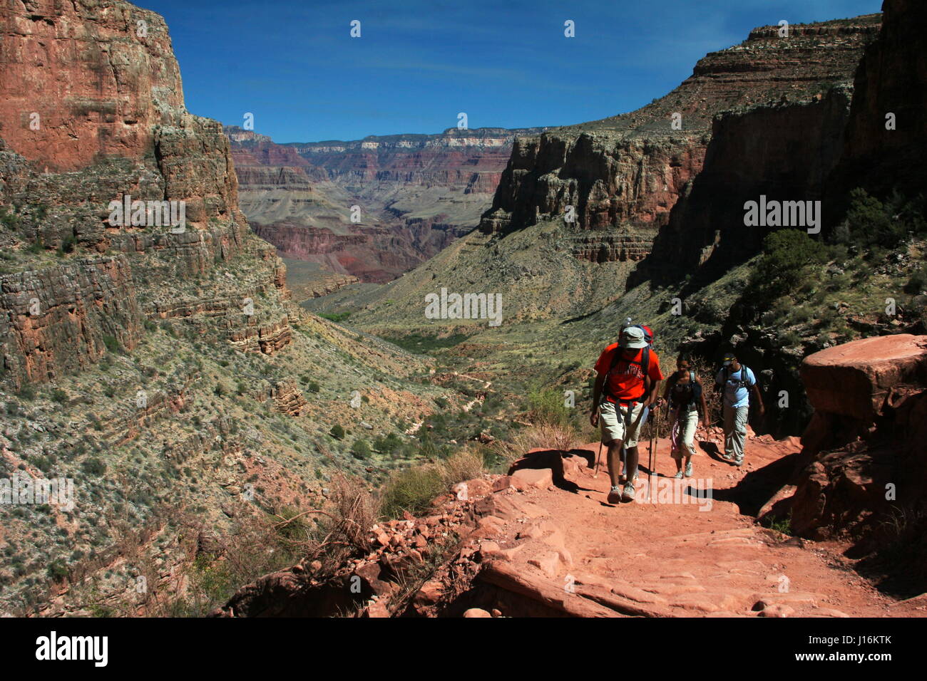 Bright Angel Trail Grand Canyon South Rim Arizona U.S.A Stock Photo - Alamy