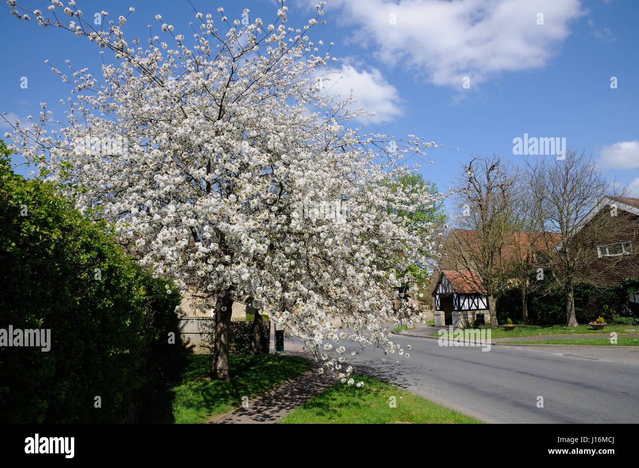 Felmersham hi-res stock photography and images - Alamy