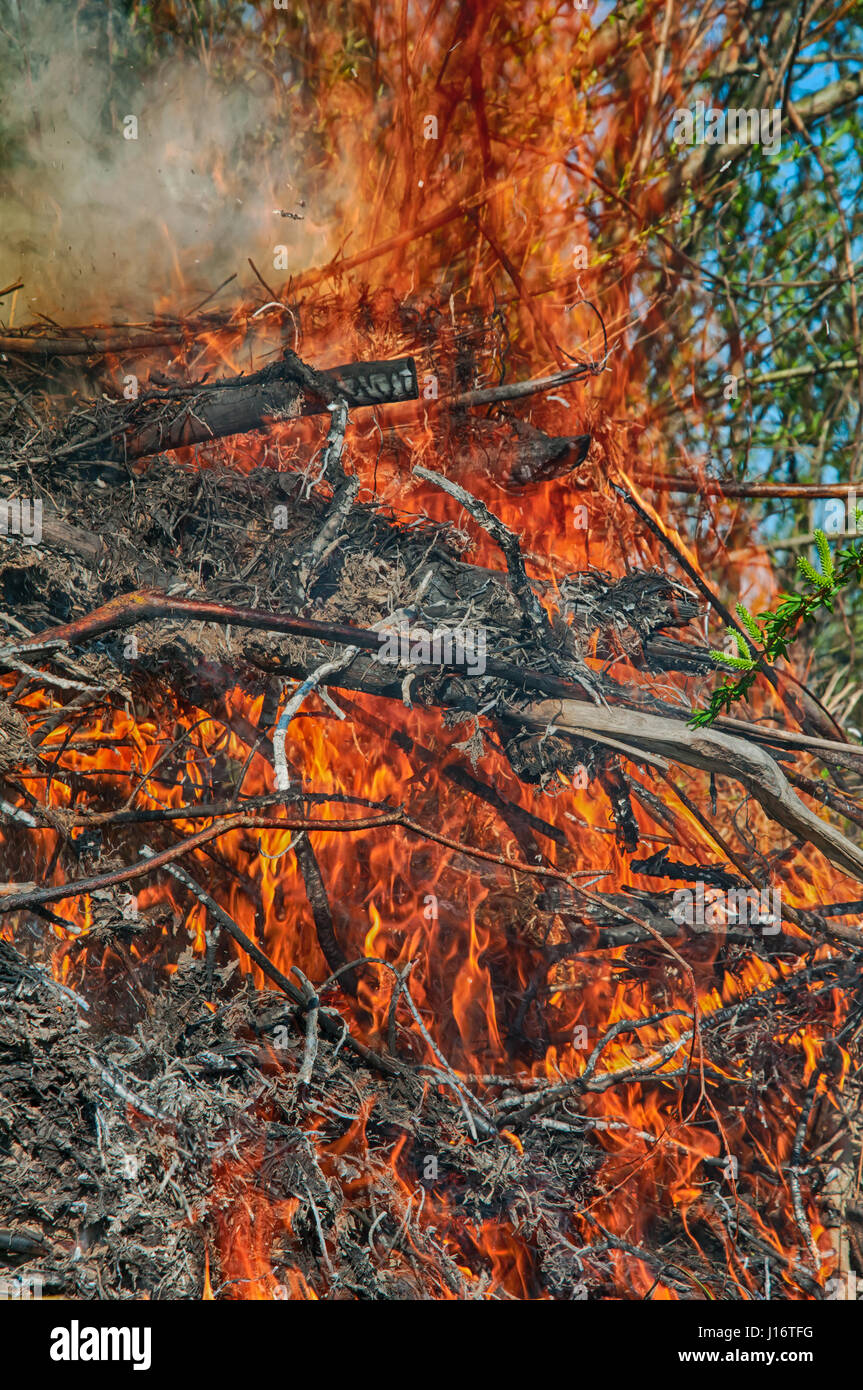 fire on spring field Stock Photo - Alamy