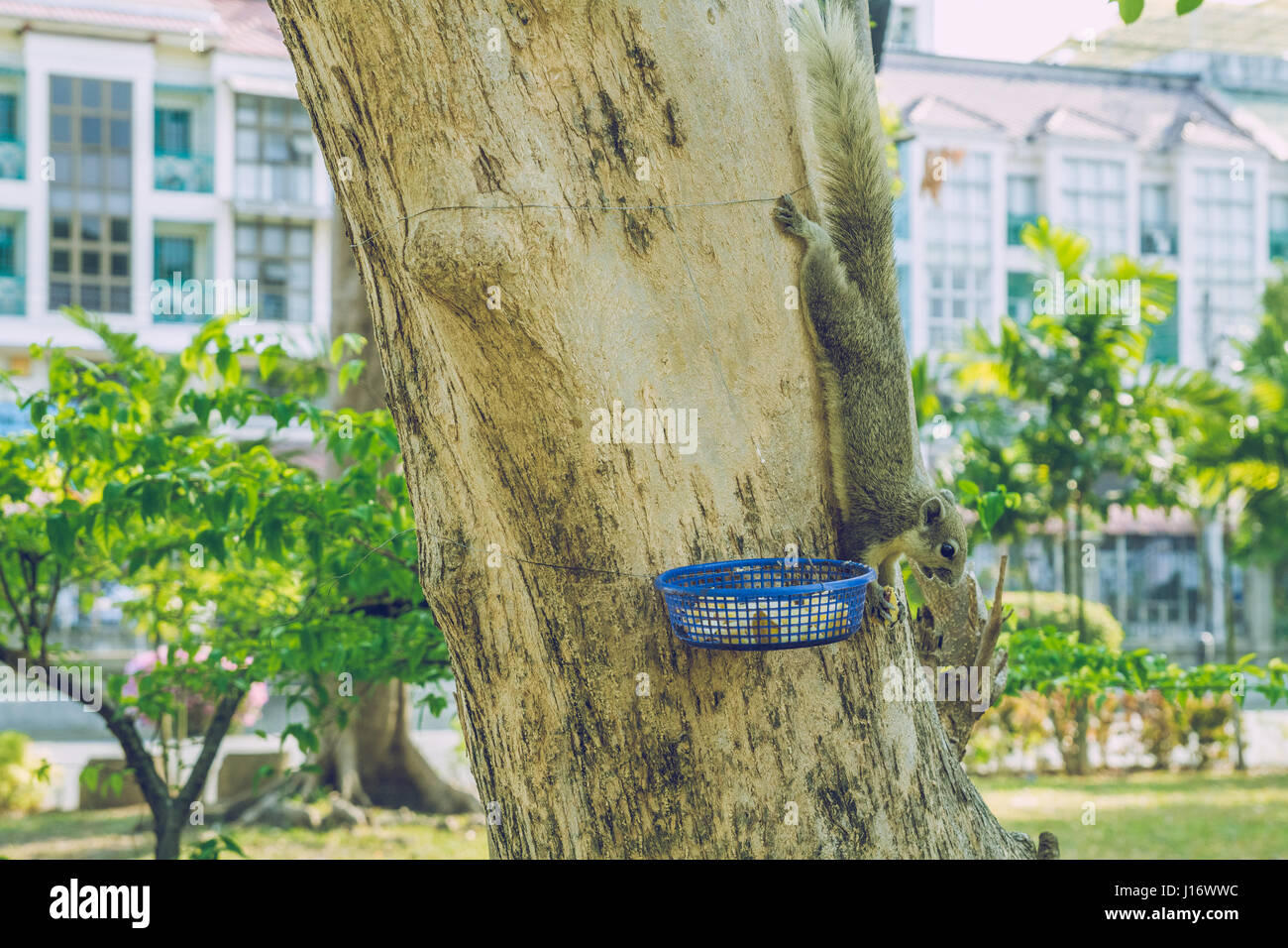 Bankok landmark hi-res stock photography and images - Alamy
