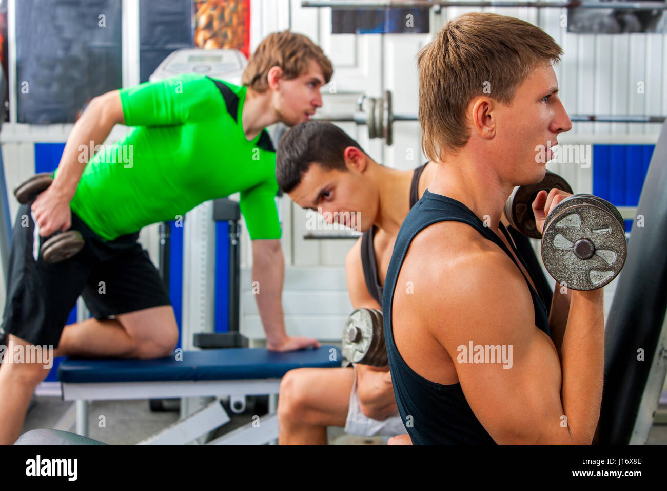 Fitness men friends in gym workout weights with equipment Stock Photo ...