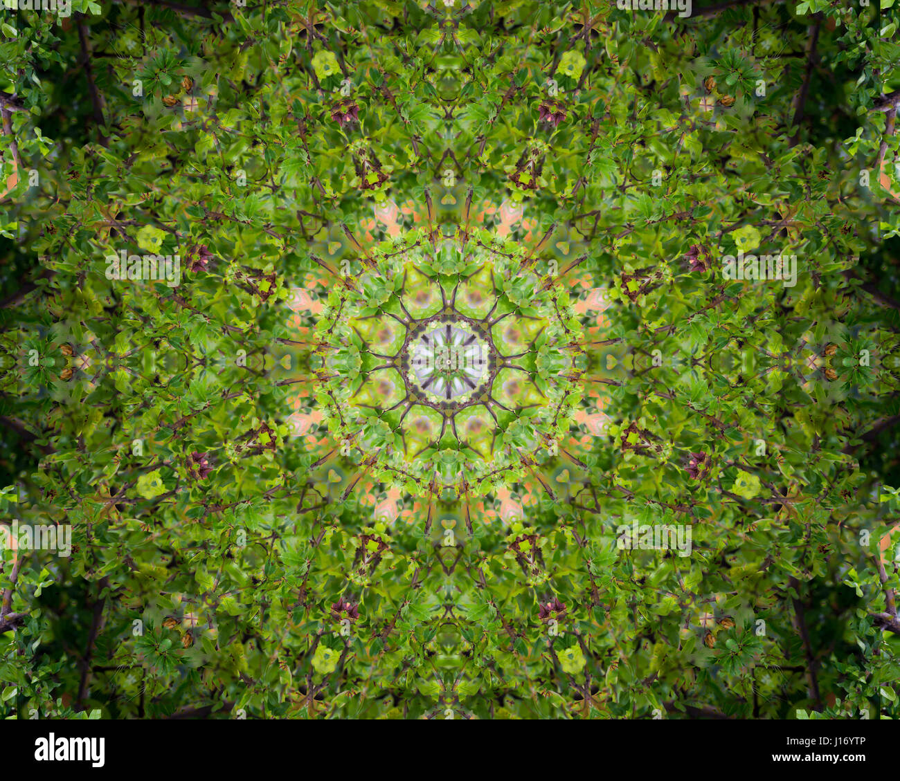 Pattern symmetry background colour hi-res stock photography and images ...