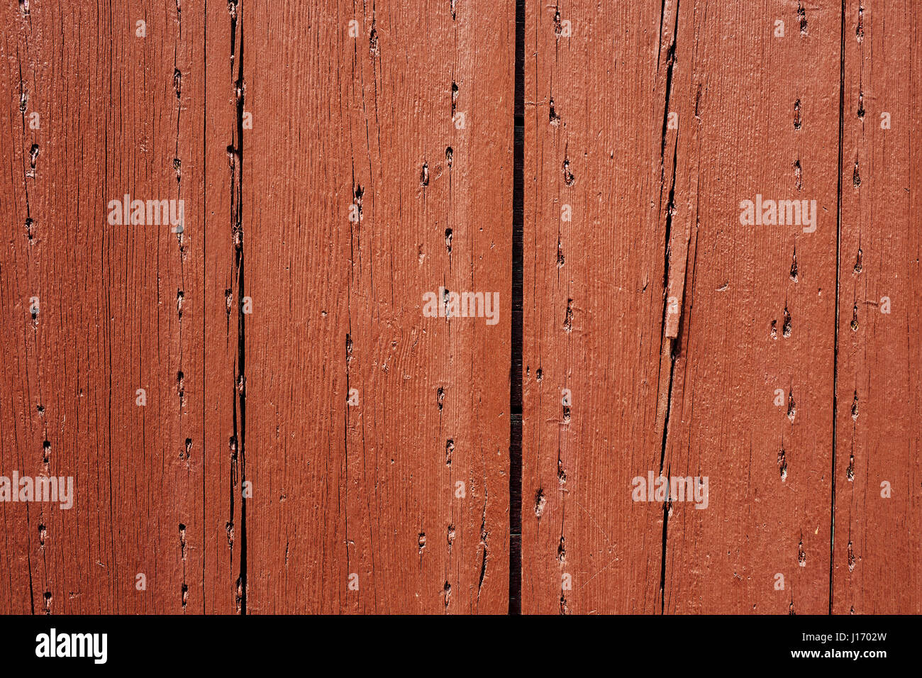 Texture of a tree Stock Photo - Alamy