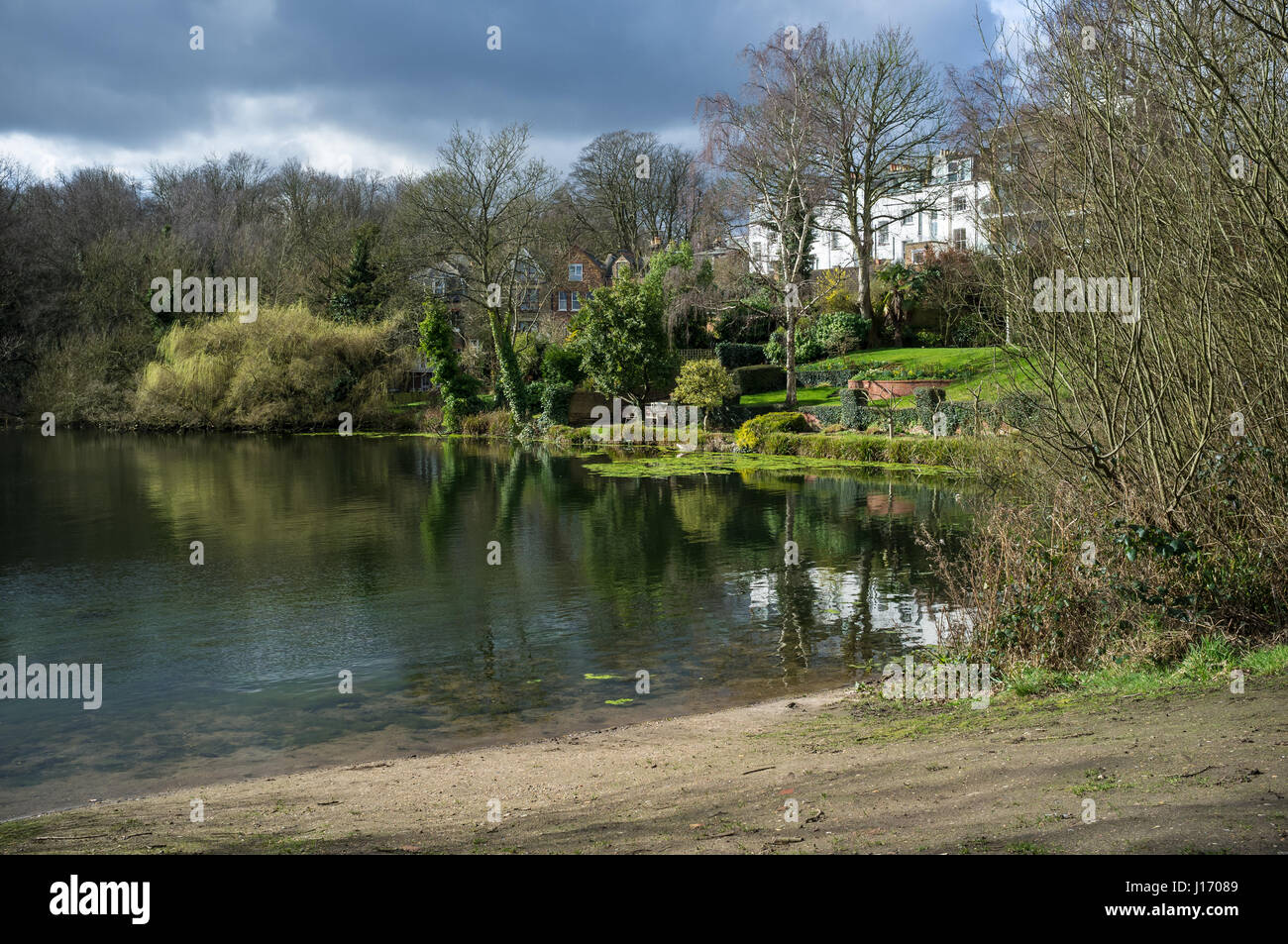 Hampstead Heath pond Stock Photo - Alamy