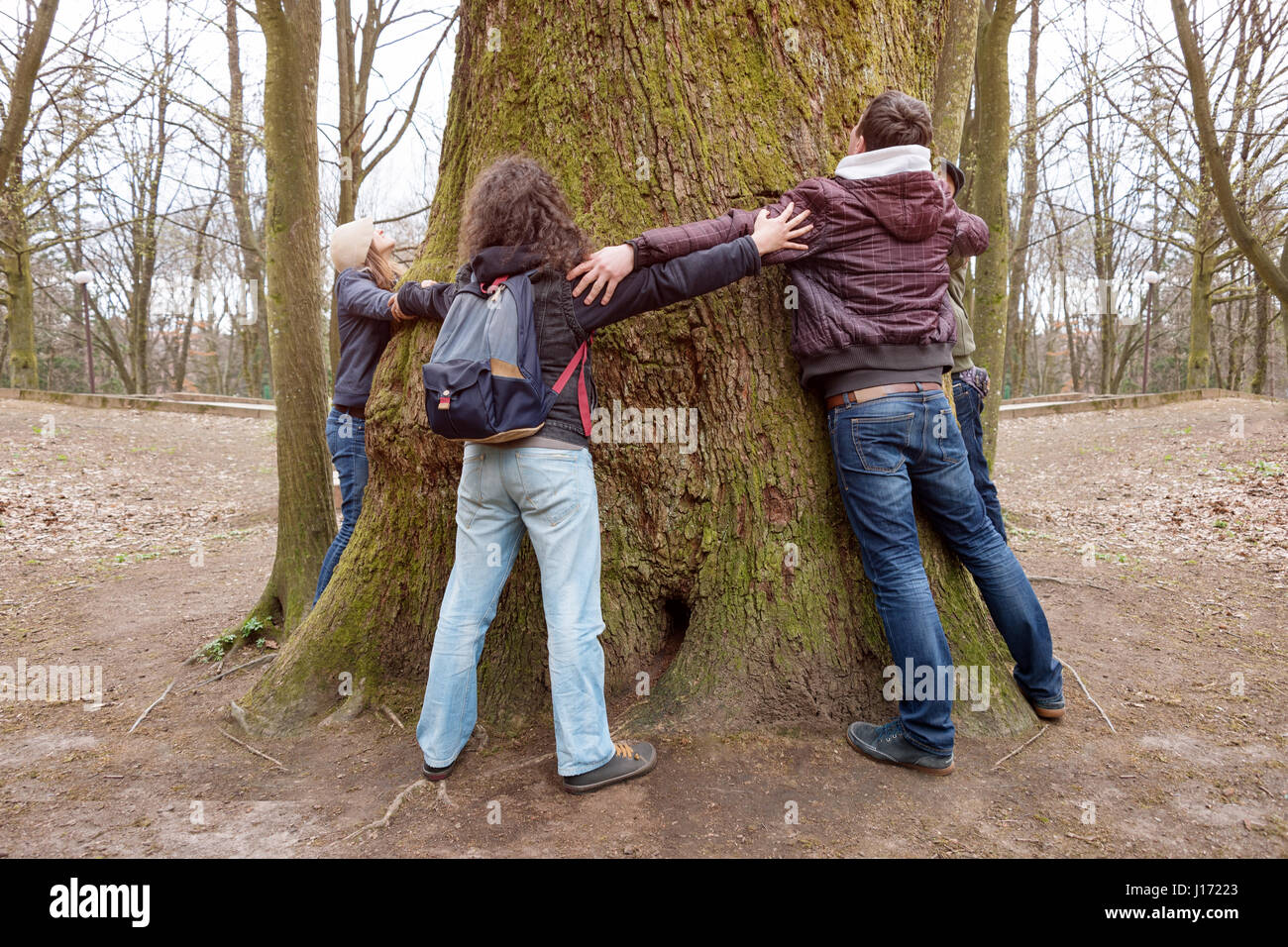 Group of friends hugging giant tree trunk and holding hands during ...