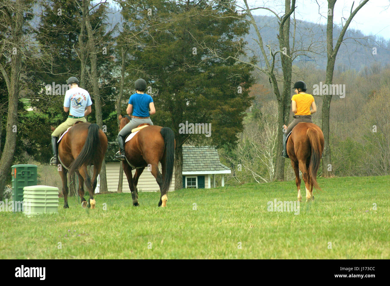 Group of young horse riders in the saddle, with mountain scenery in the ...