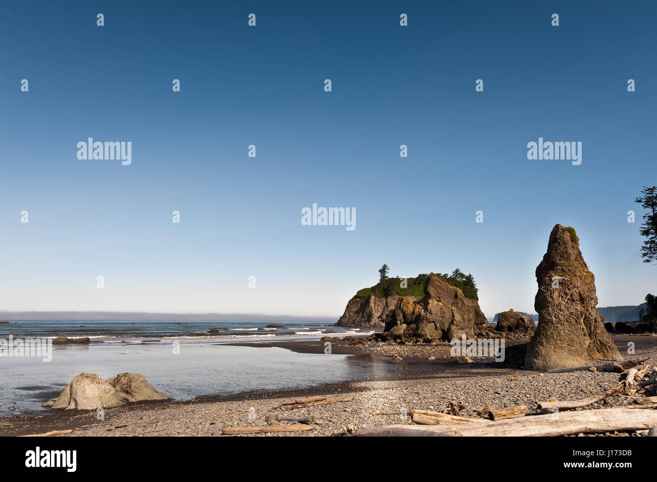 rock and quiet beach at Pacific Ocean in Ruby Beach of Olympic National ...