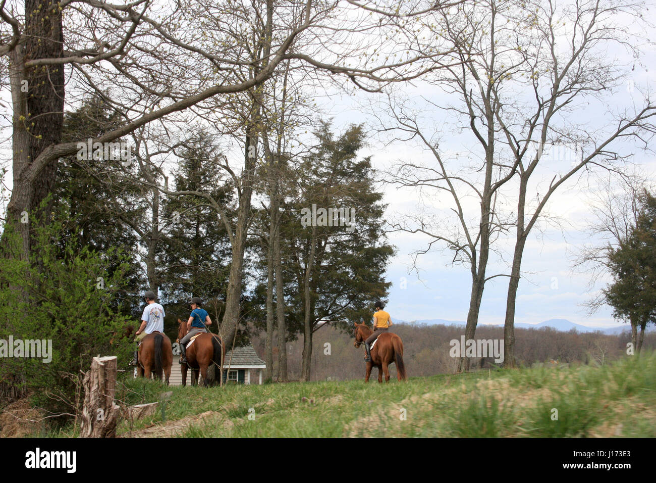 Group of young horse riders in the saddle, with mountain scenery in the ...