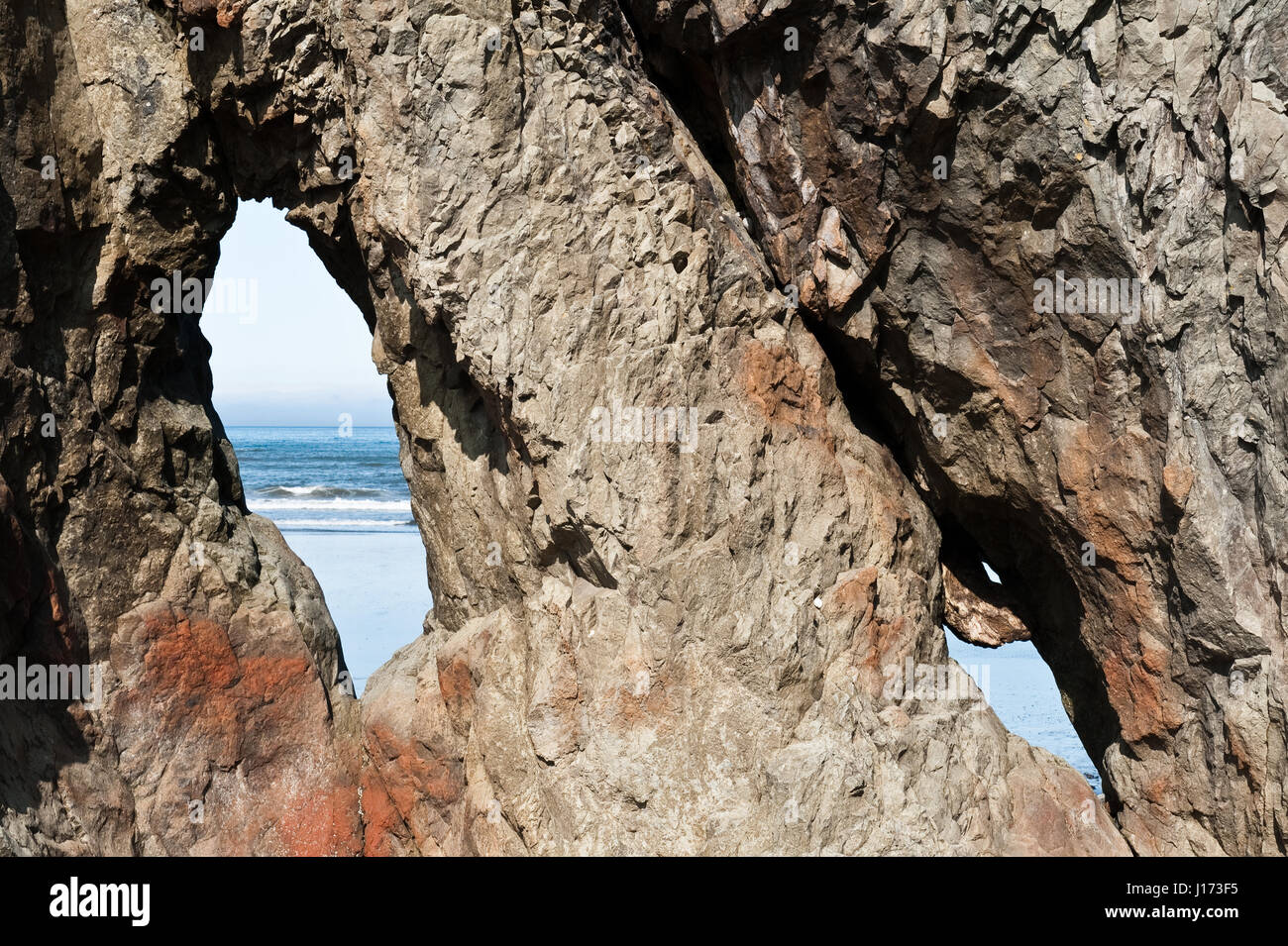 close view of rock with holes in Ruby Beach of Olympic National Park ...
