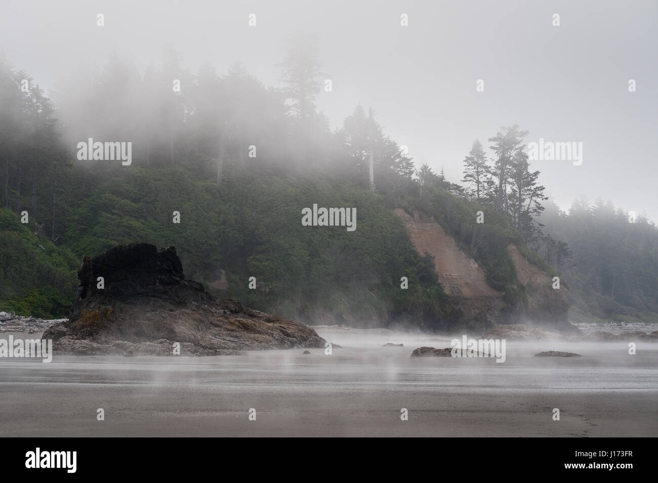Ruby Beach with dense fog, Olympic National Park,Washington State, USA ...