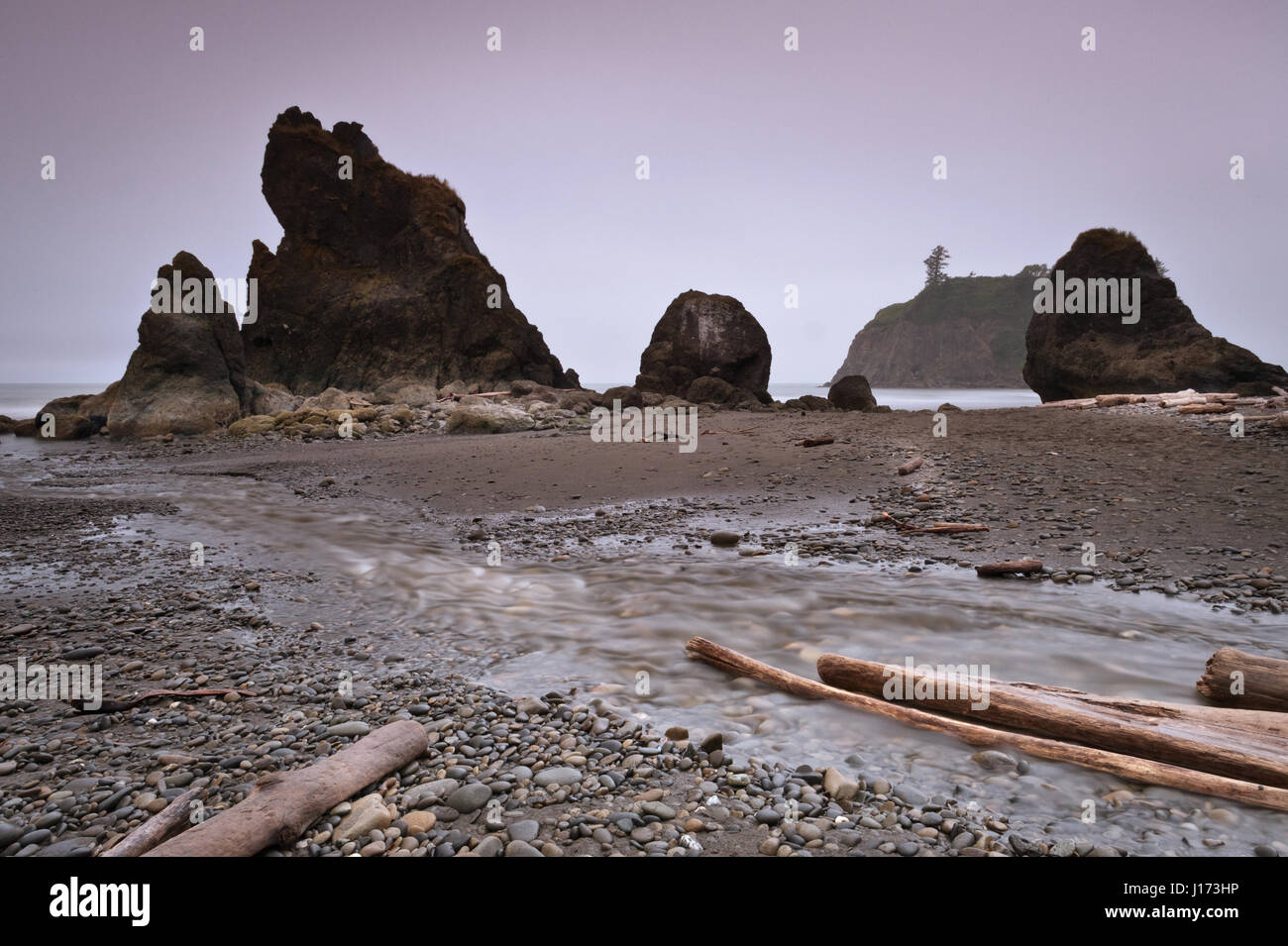 sea stacks at Ruby beach in Olympic National Park, Washington State ...