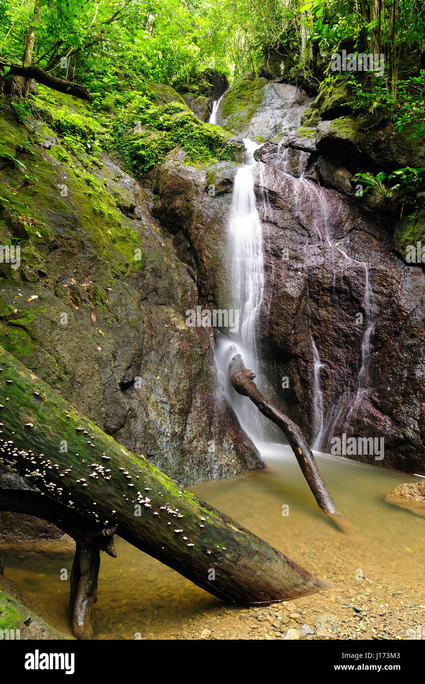 Colombia, wild Darien jungle of the Caribbean sea near Capurgana resort ...