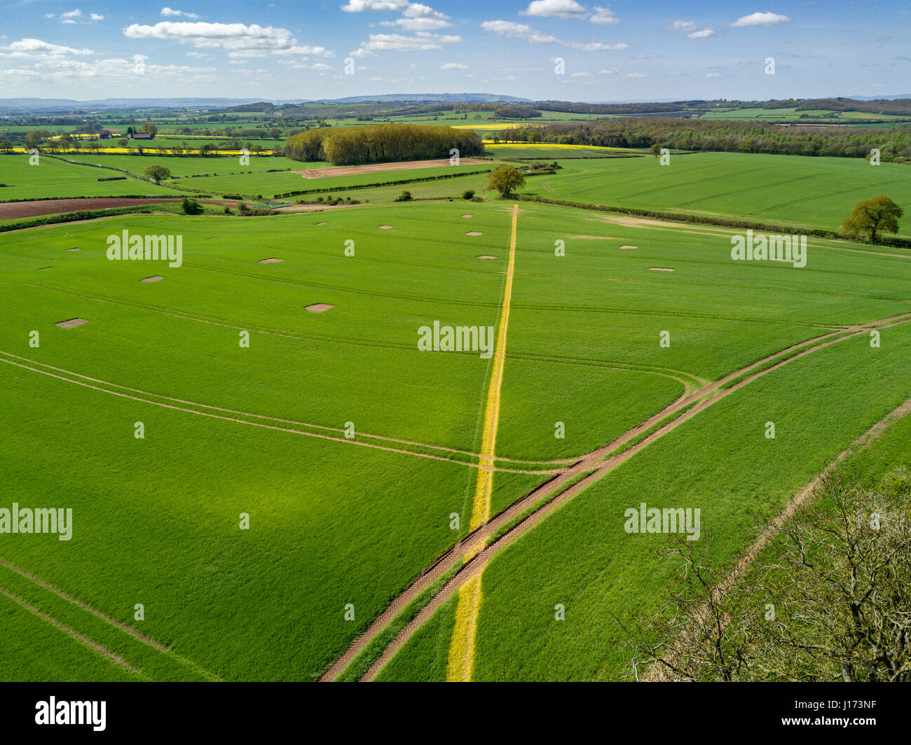 Discolour hi-res stock photography and images - Alamy