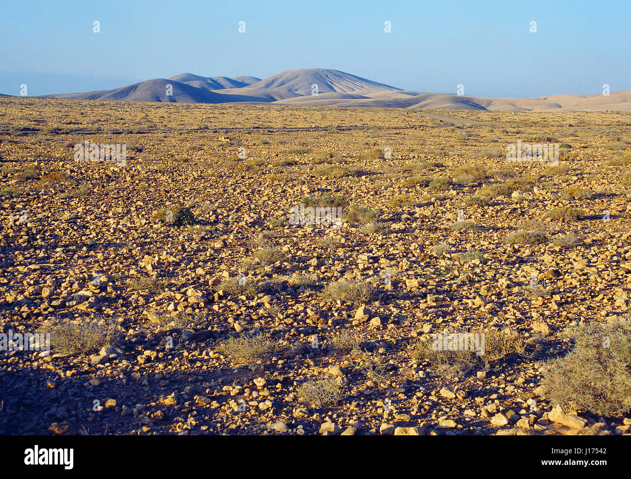 Soledad concepto aislado hi-res stock photography and images - Alamy