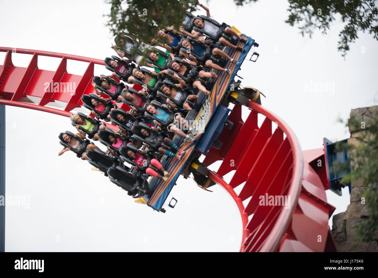 Roller Coaster People Screaming High Resolution Stock Photography and ...