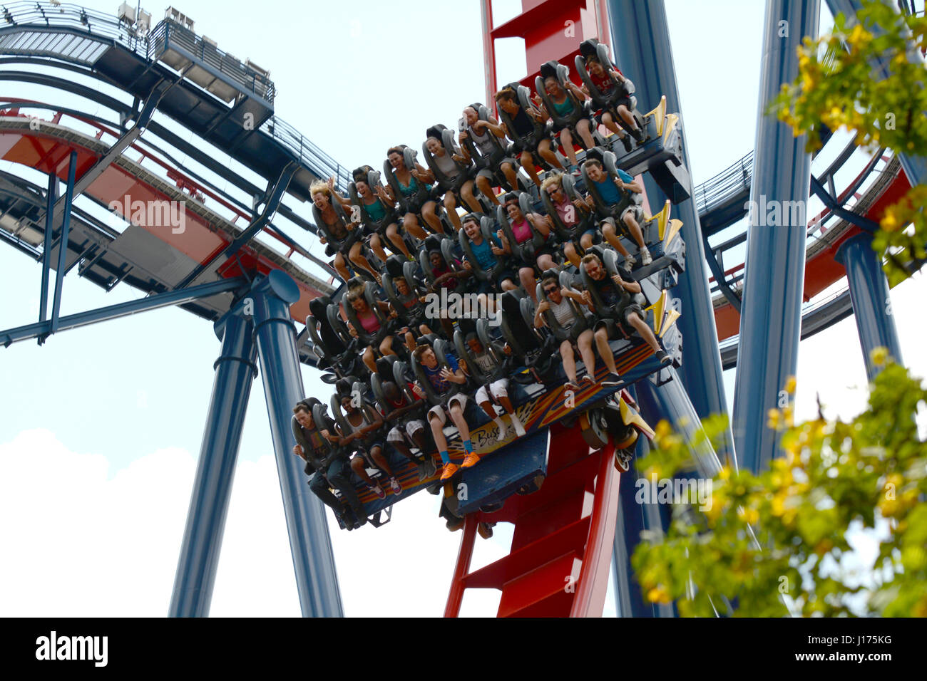 theme park roller coasters full of people wild faces screaming Stock ...