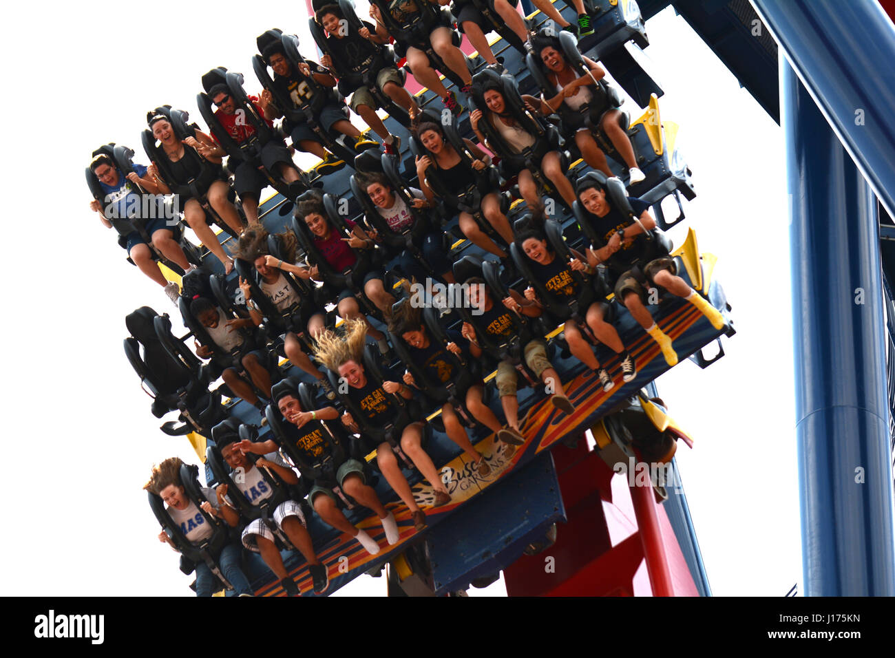 theme park roller coasters full of people wild faces screaming Stock ...