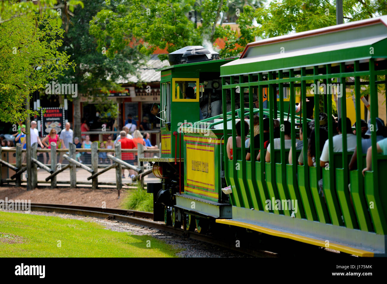 Roller coasters busch gardens hi-res stock photography and images - Alamy