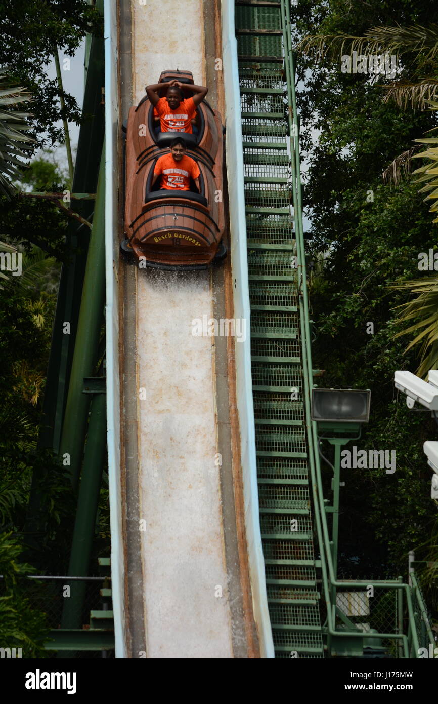 Rollercoasters, busch gardens hi-res stock photography and images - Alamy