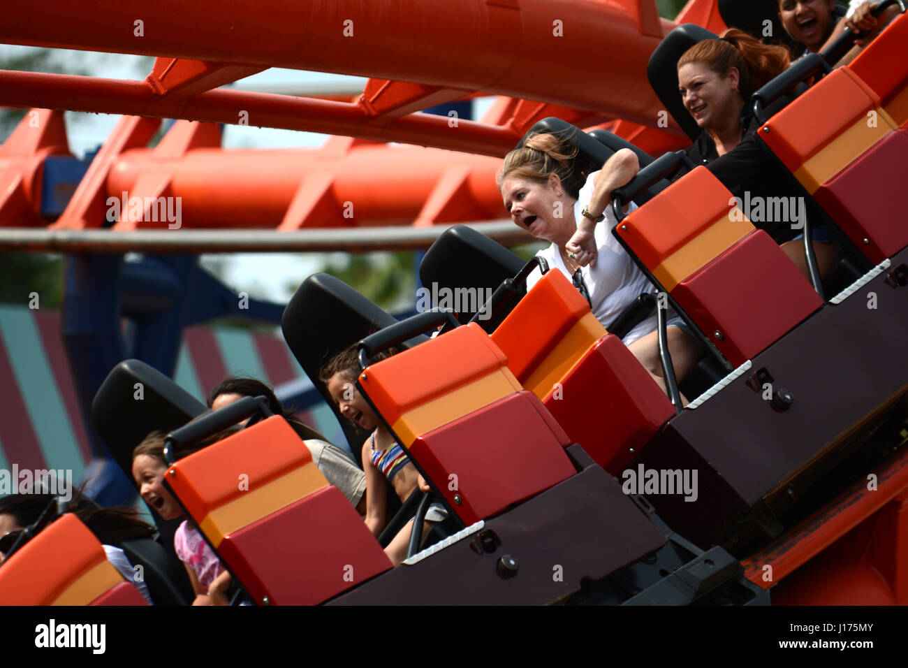theme park people on rides and coasters Stock Photo - Alamy