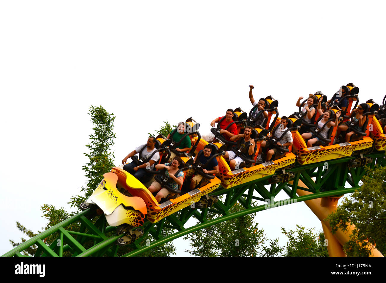 theme park people on rides and coasters Stock Photo - Alamy