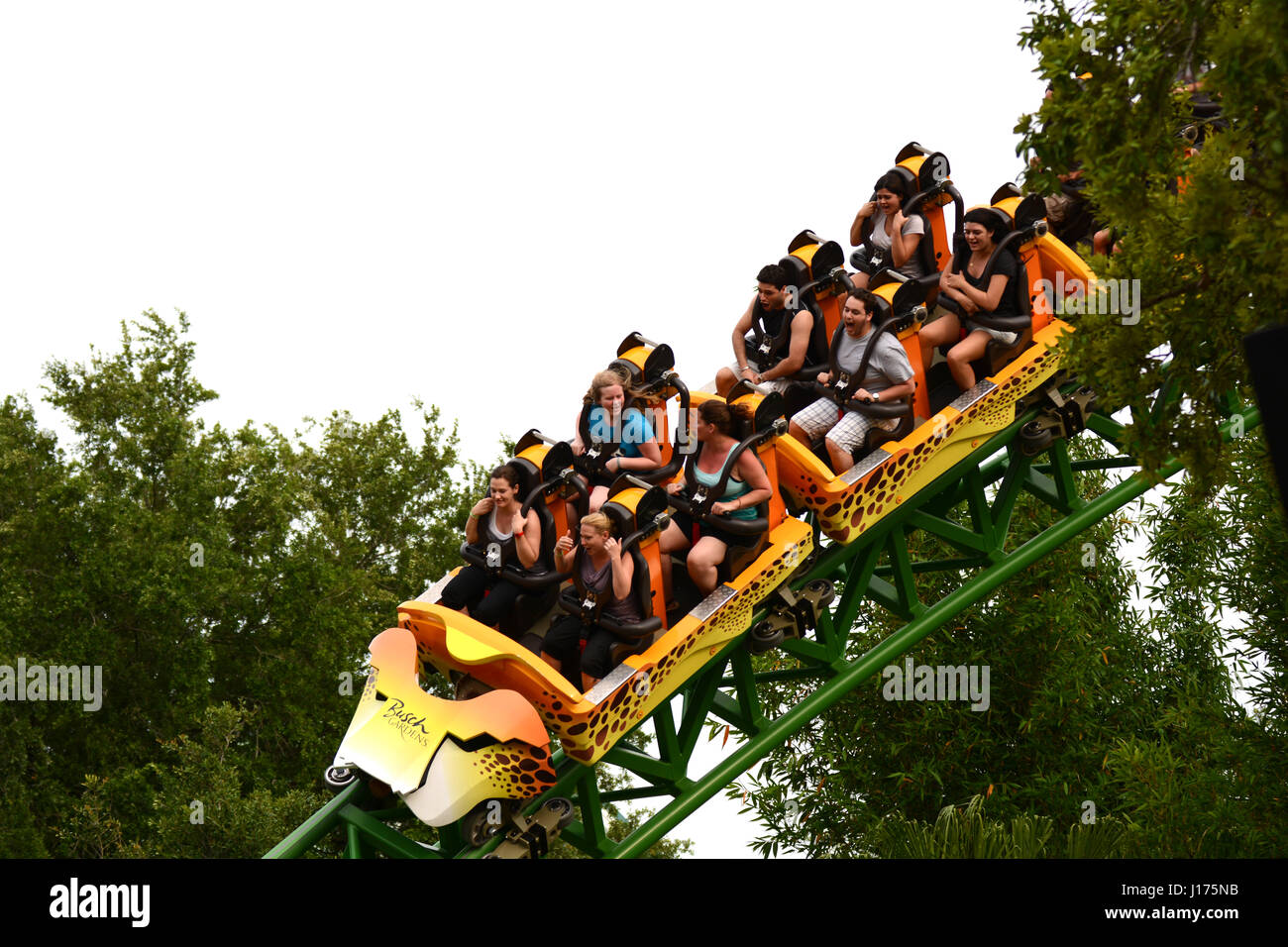 theme park people on rides and coasters Stock Photo - Alamy