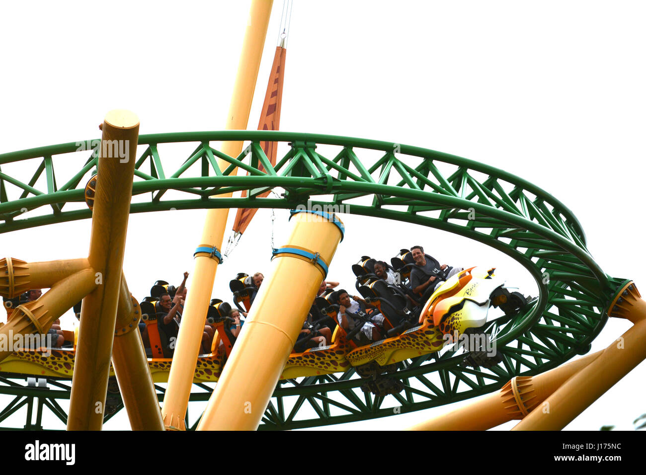 theme park people on rides and coasters Stock Photo - Alamy