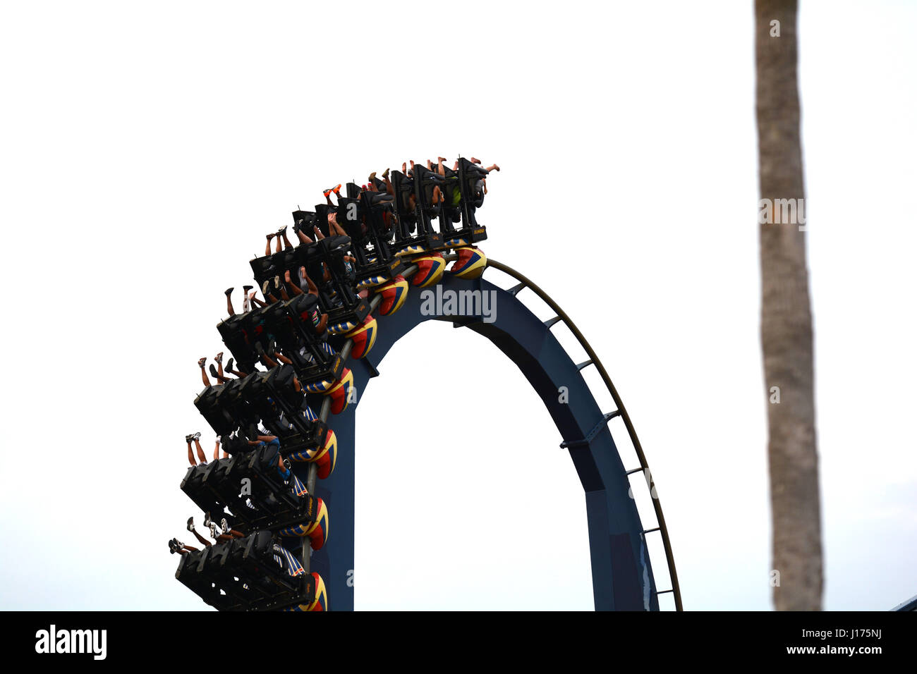 Widl rides theme parks hi-res stock photography and images - Alamy