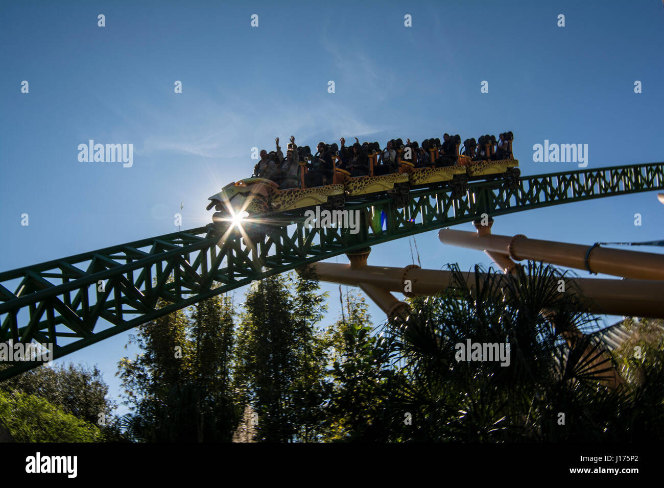 theme park people on rides and coasters Stock Photo - Alamy