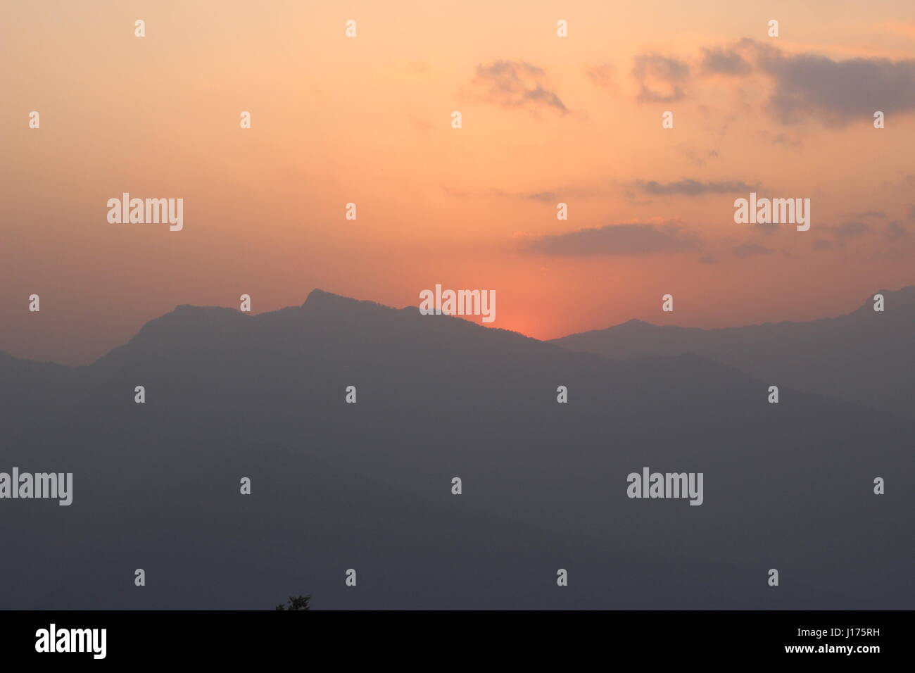 Detailed suset hi-res stock photography and images - Alamy