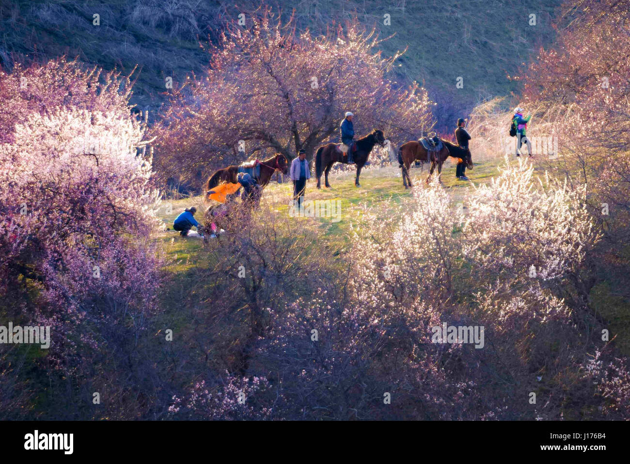 Xinyuan, China's Xinjiang Uygur Autonomous Region. 15th Apr, 2017 ...