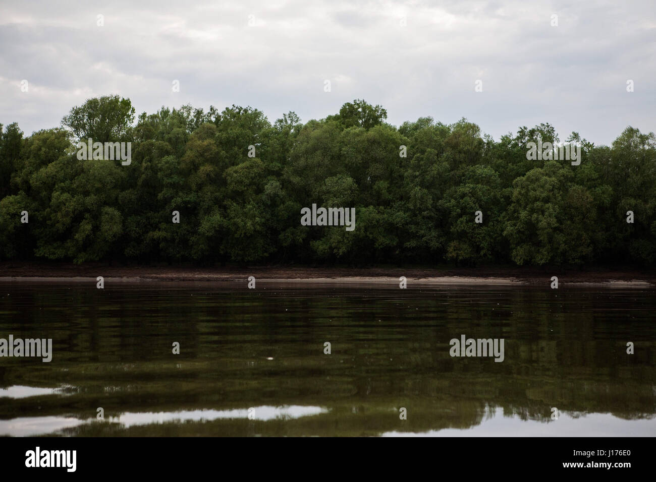 Liberland. Building a new country called Liberland. 15th Apr, 2017. 2nd ...