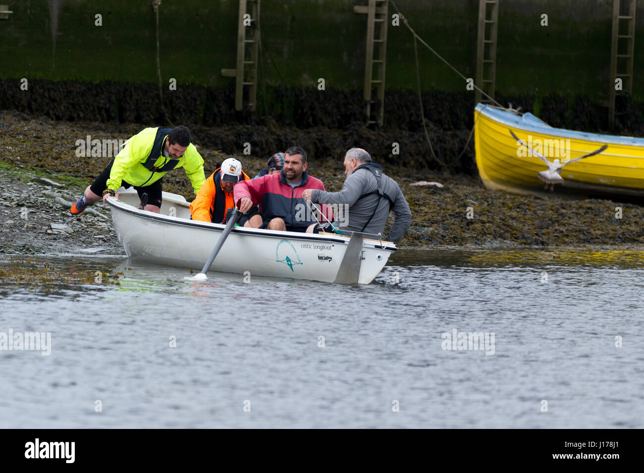 Aberystwyth men's Celtic Challenge rowing team out training for the ...