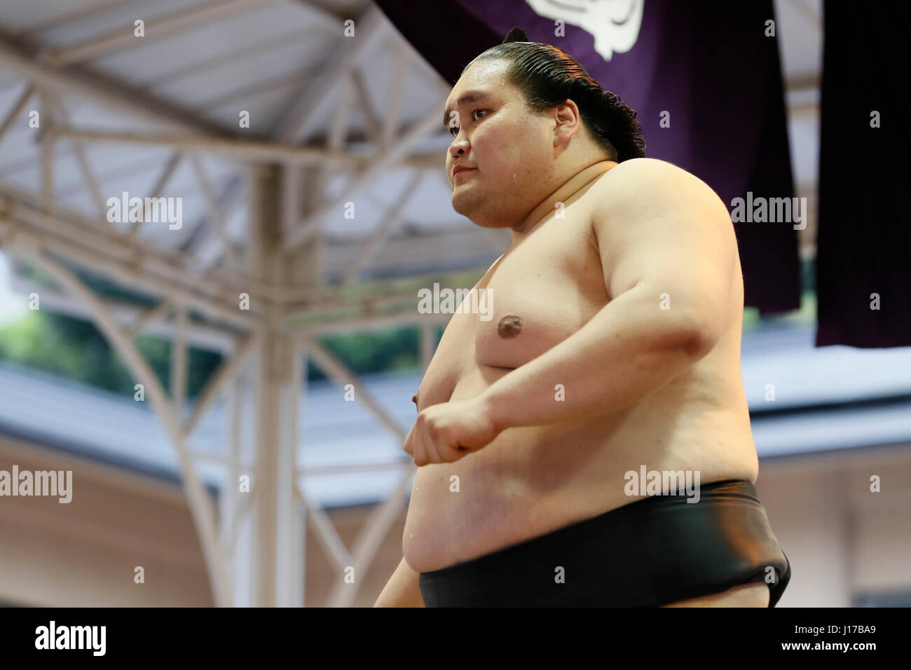 Tokyo, Japan. 17th Apr, 2017. Terunofuji Sumo : Yasukuni Shrine ...