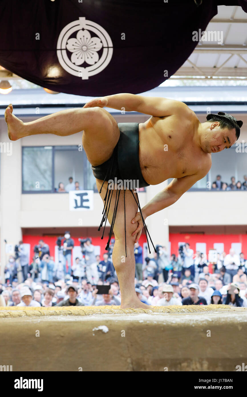 Tokyo, Japan. 17th Apr, 2017. Harumafuji Sumo : Yasukuni Shrine ...
