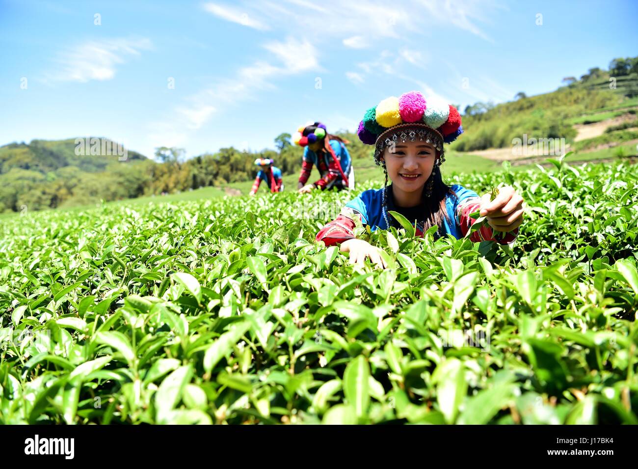 Tsou hi-res stock photography and images - Alamy