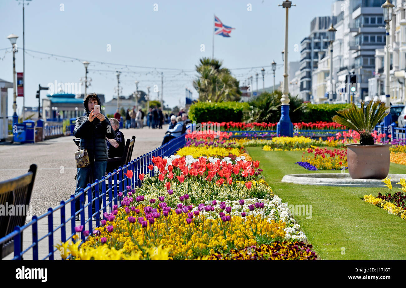 Eastbourne, UK. 19th Apr, 2017. Visitors enjoy the spectacular display ...