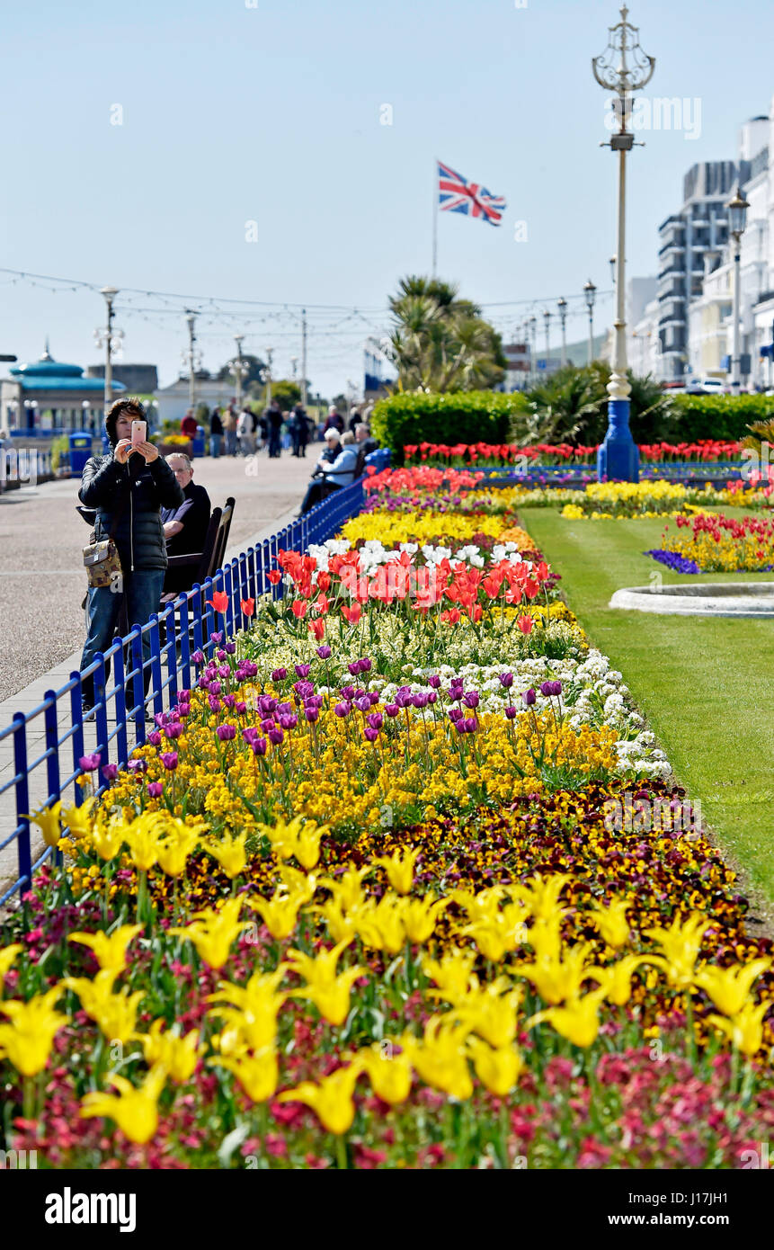 Eastbourne, UK. 19th Apr, 2017. Visitors enjoy the spectacular display ...