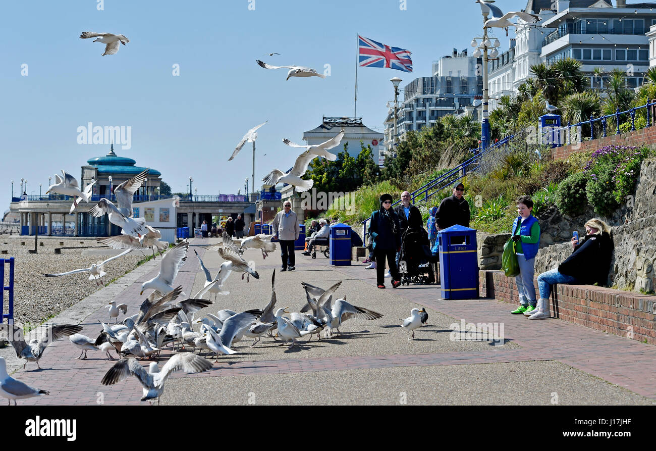 Eastbourne, UK. 19th Apr, 2017. Seagulls battle for food as visitors ...