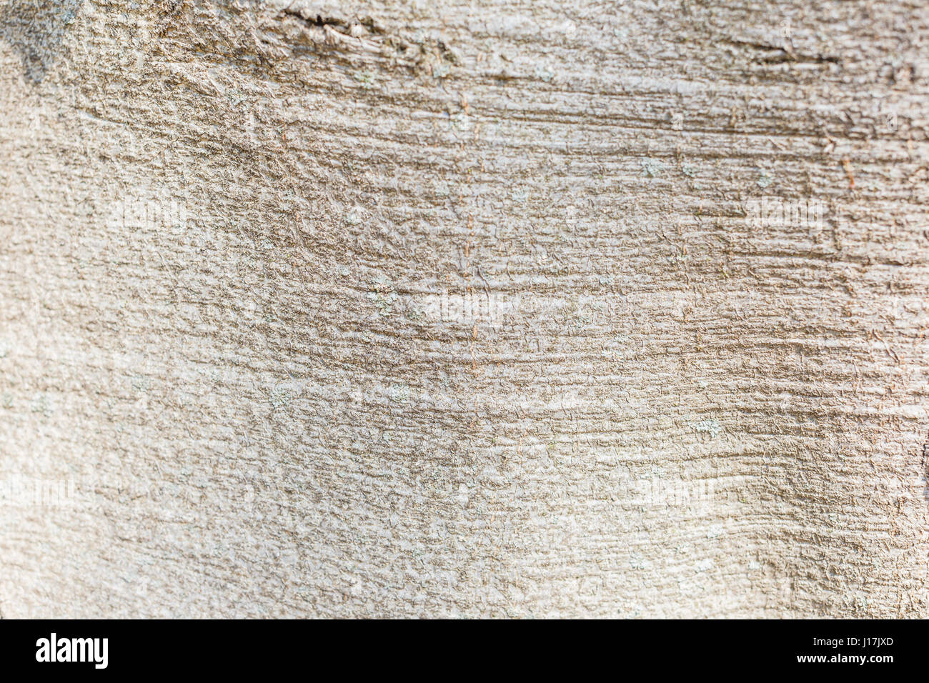 Old wood texture background. Good as wallpaper Stock Photo - Alamy
