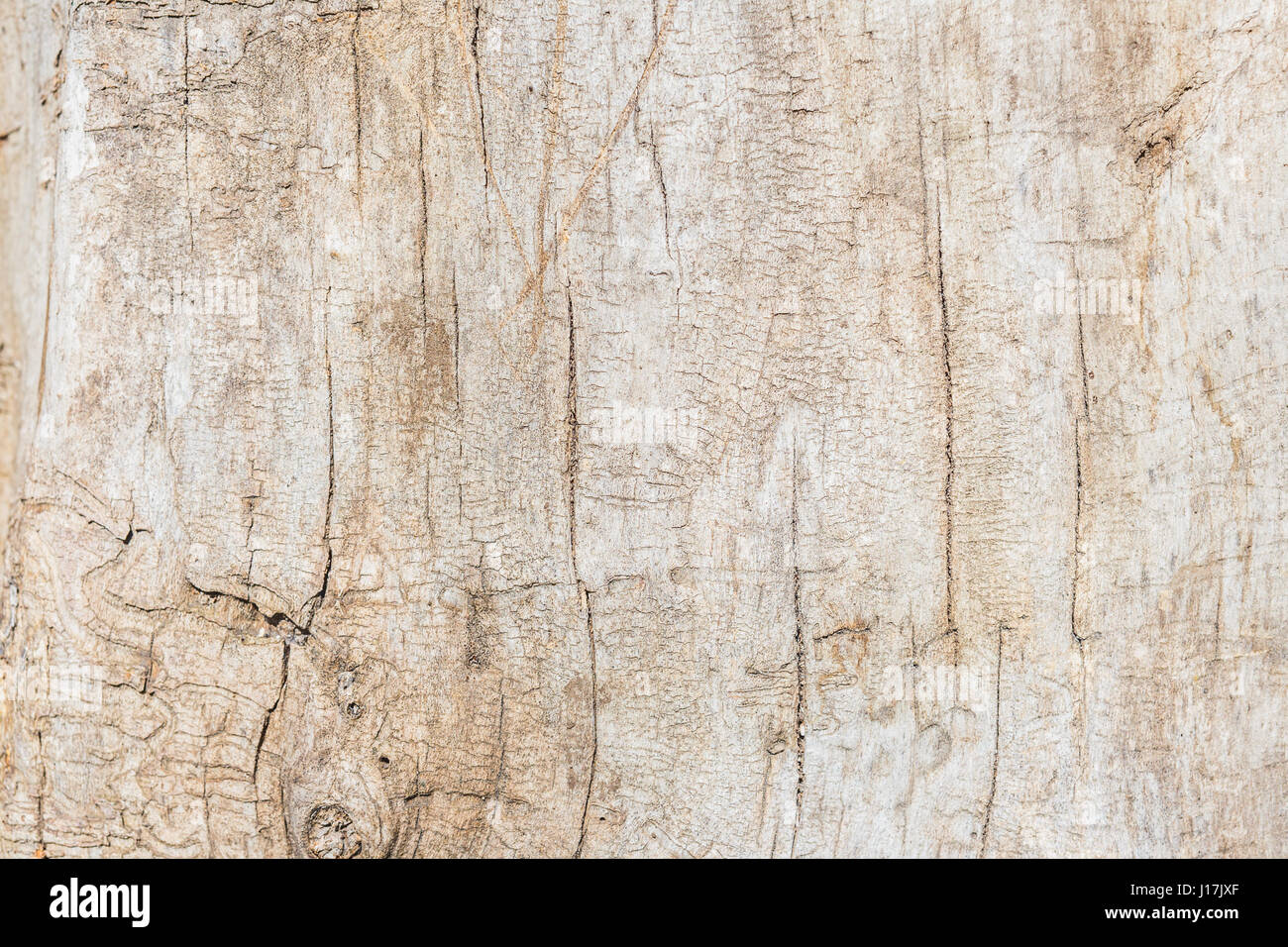 Old wood texture background. Good as wallpaper Stock Photo - Alamy