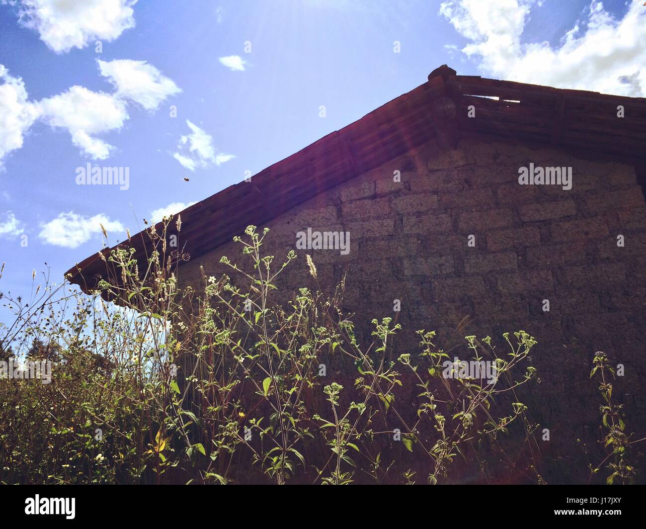 Ecuador traditional home hi-res stock photography and images - Alamy