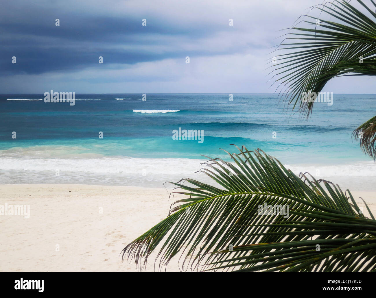 Palm frond over white sandy beach and dark clouds, Tulum, Mexico Stock Photo - Alamy