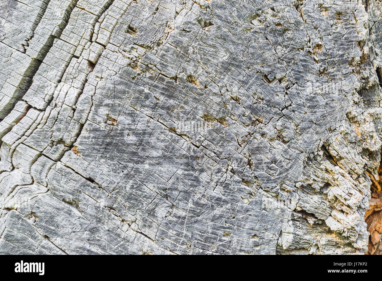 Old wood texture background. Good as wallpaper Stock Photo - Alamy