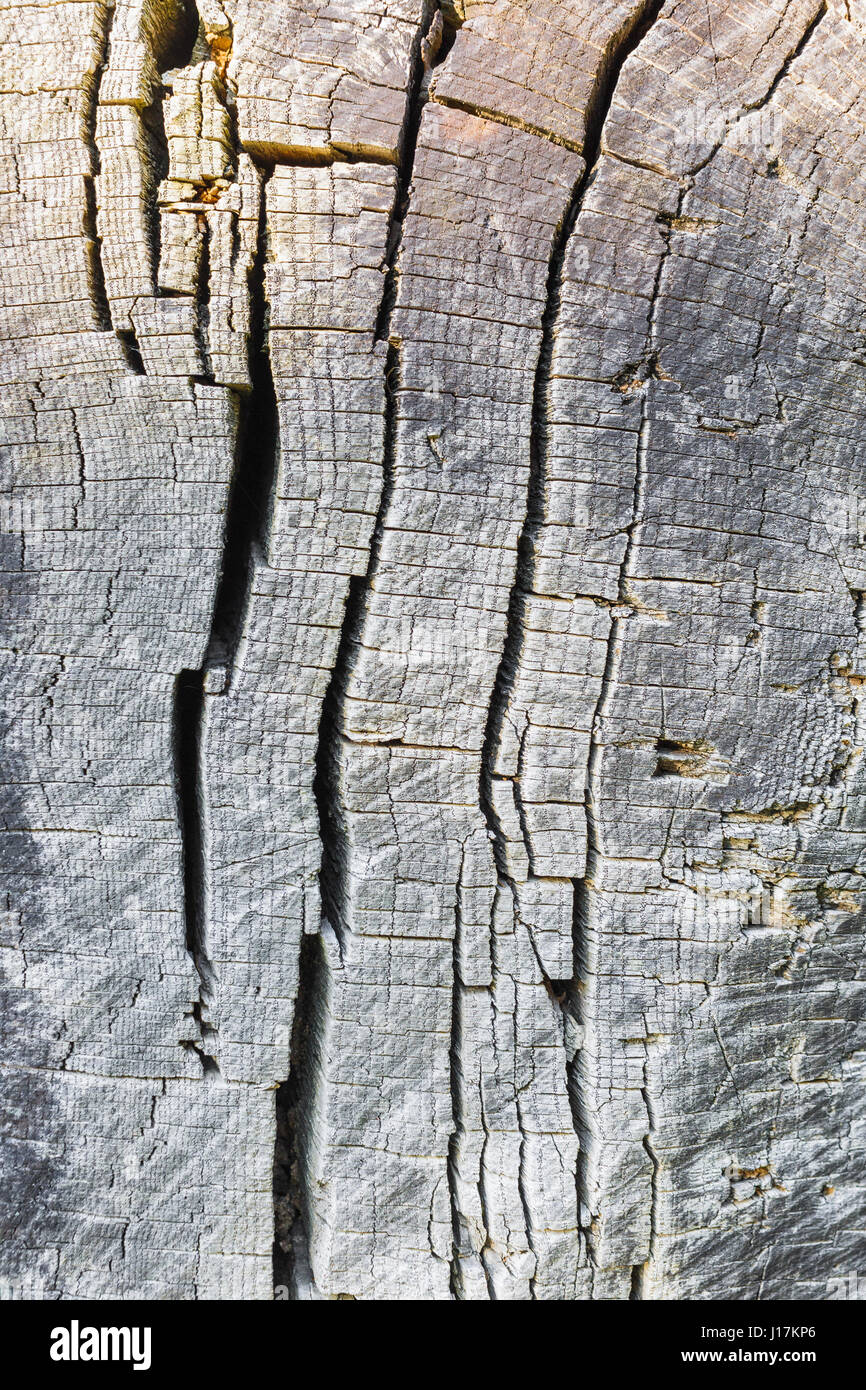 Old wood texture background. Good as wallpaper Stock Photo - Alamy