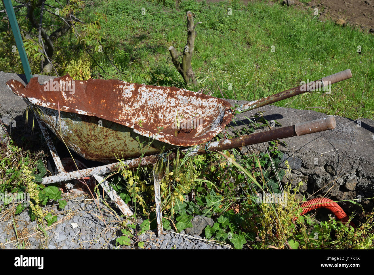old broken and rusty wheelbarrow abandoned on a lawn Stock Photo - Alamy
