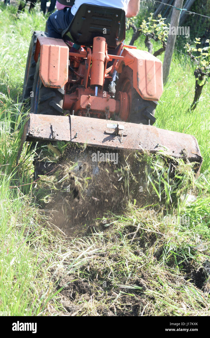 plowing of the soil with old rotary hoe Stock Photo - Alamy