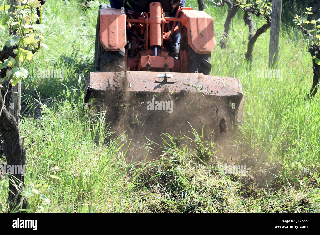 plowing of the soil with old rotary hoe Stock Photo - Alamy
