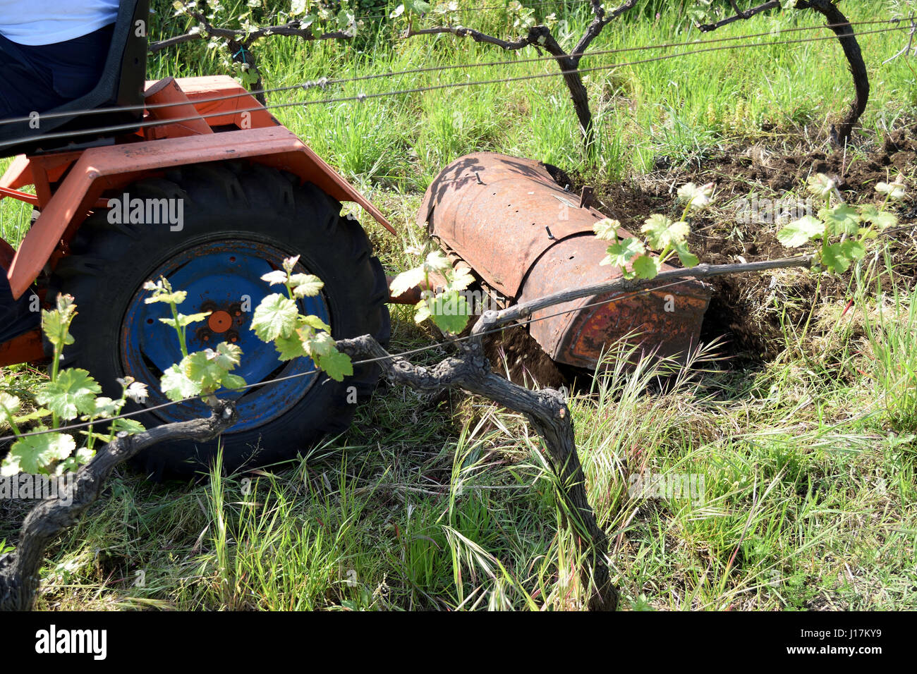 plowing of the soil with old rotary hoe Stock Photo - Alamy