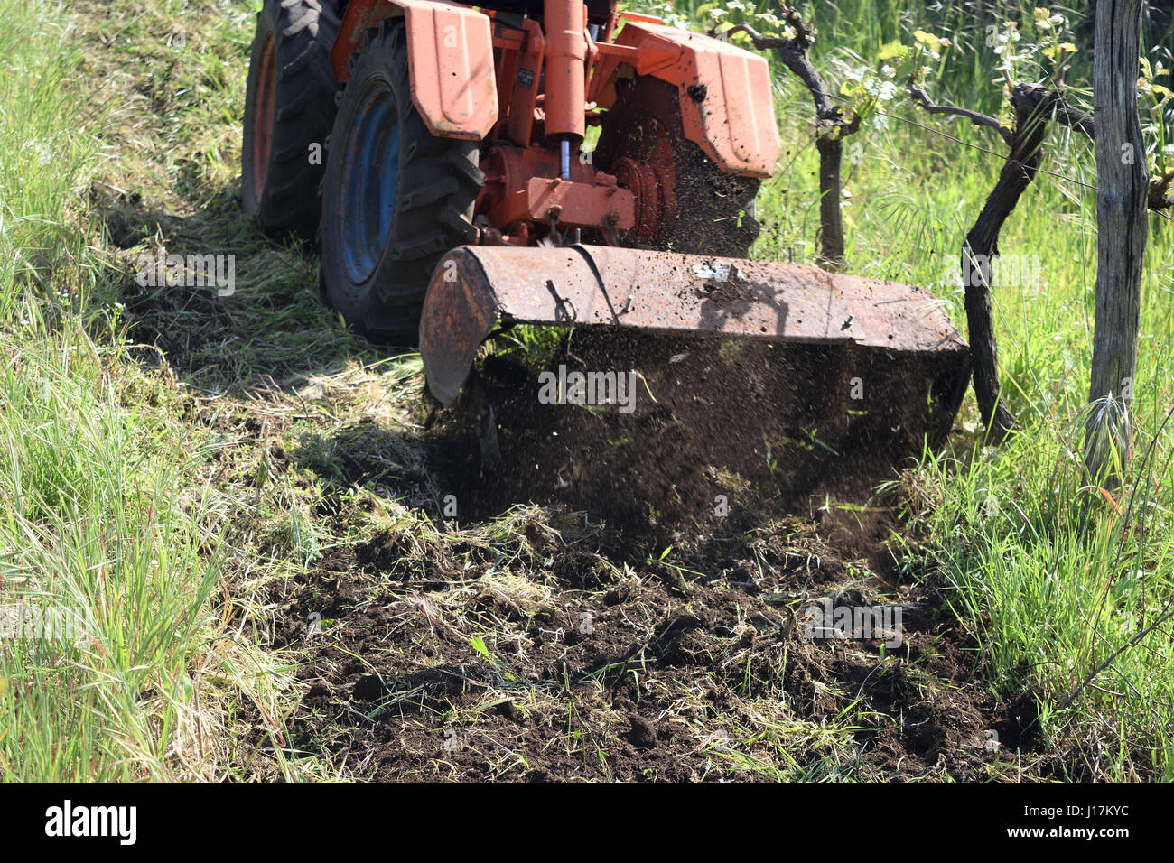 plowing of the soil with old rotary hoe Stock Photo - Alamy